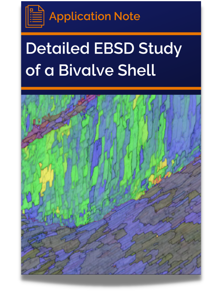 Detailed EBSD Study of a Bivalve Shell - Nanoanalysis - Oxford Instruments